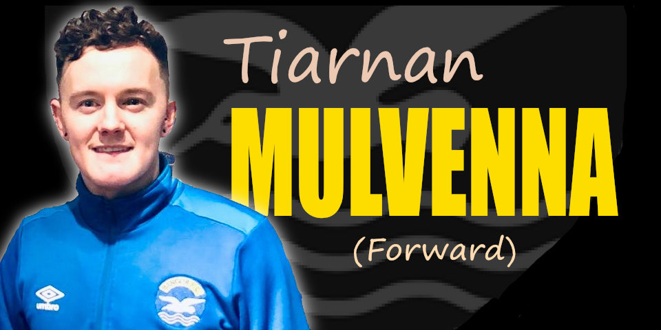 Bangor Football Club - Official Site | BangorFC.com