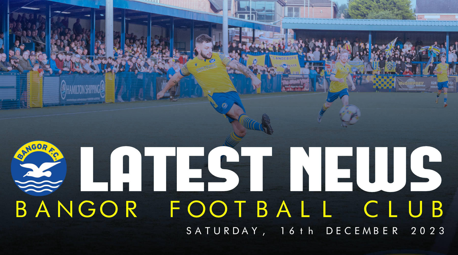 Bangor Football Club - Official Site | BangorFC.com